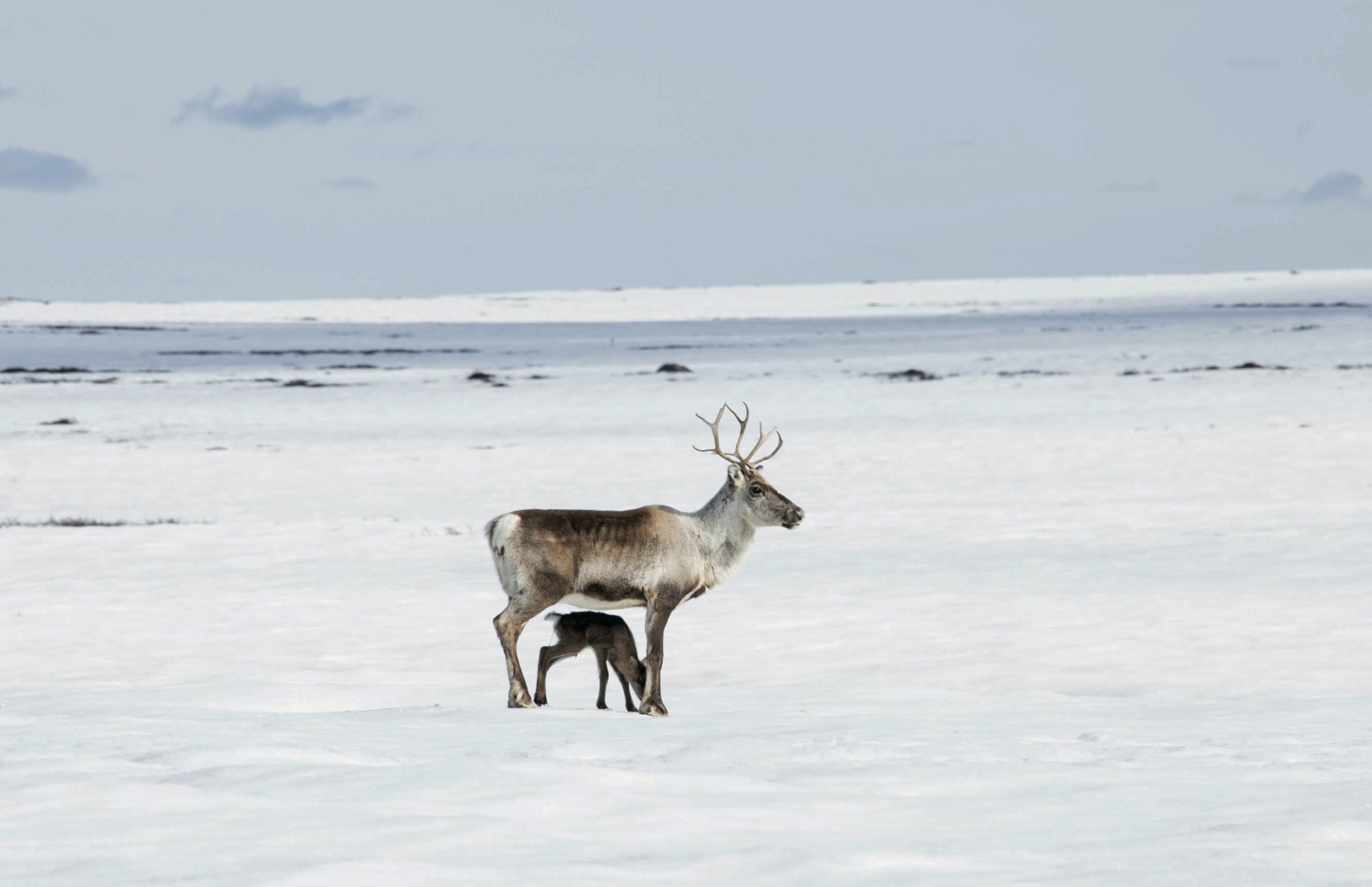 Anna-Maria Fjellström i Sápmi berättar om sitt liv med bilder | Magasin ...